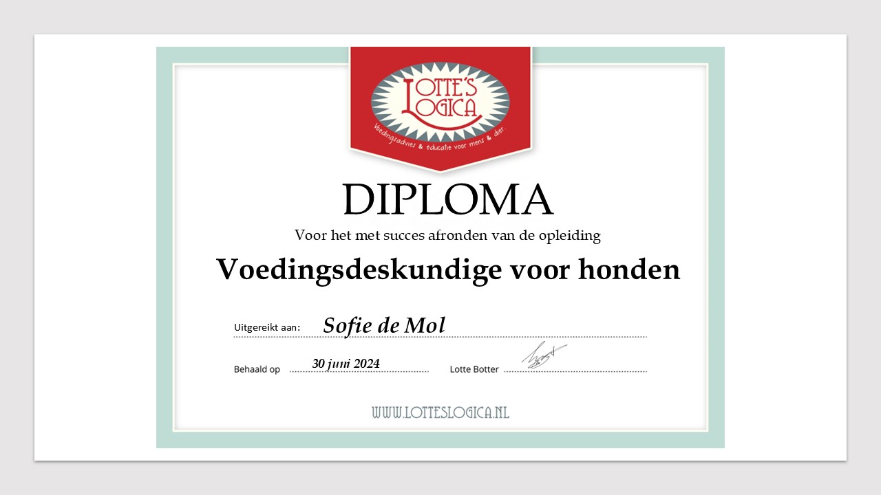 Nieuwtjes | The House of Prime